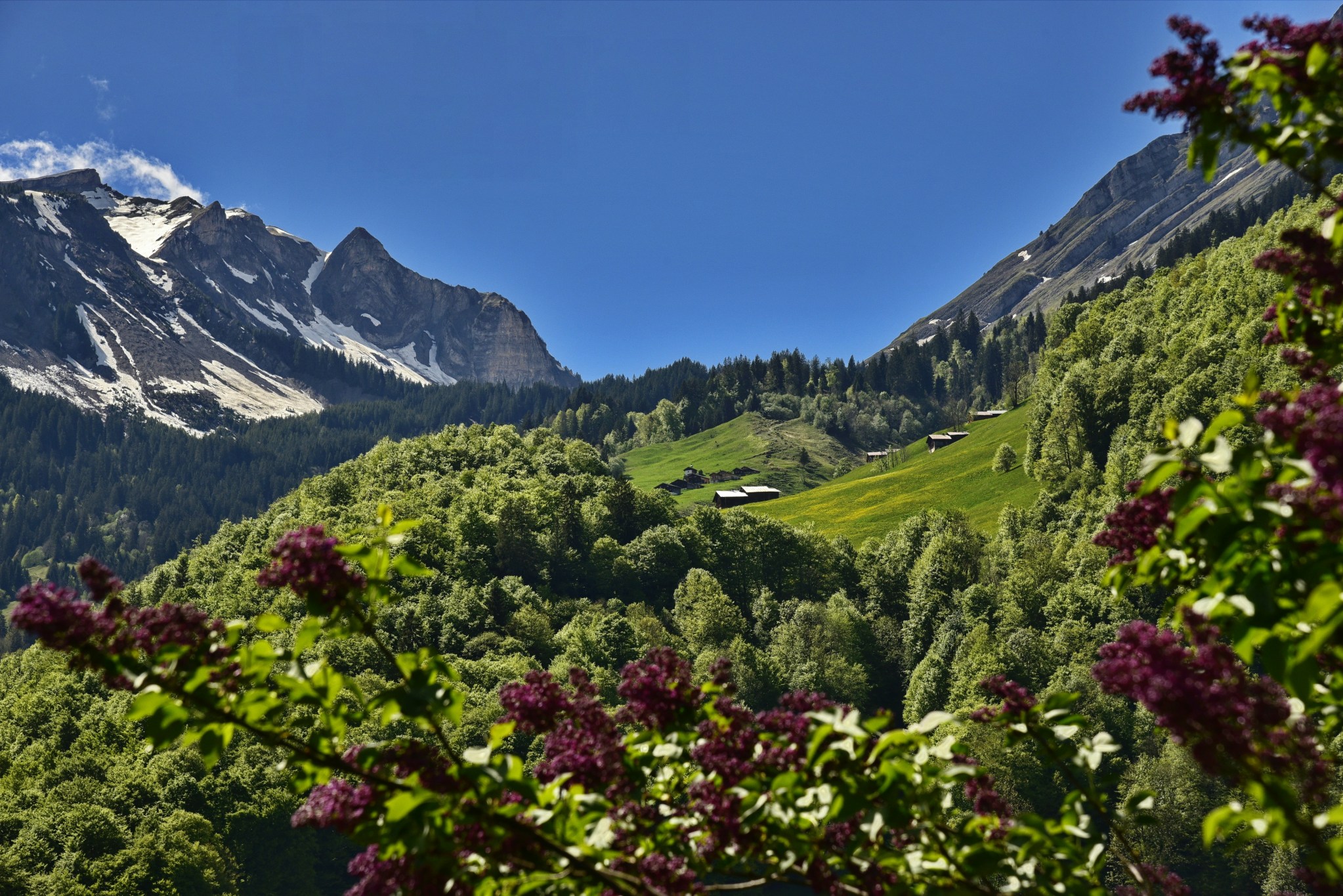 Best Time to Visit the Alps: A Season-by-Season Guide – Bonjour Alps