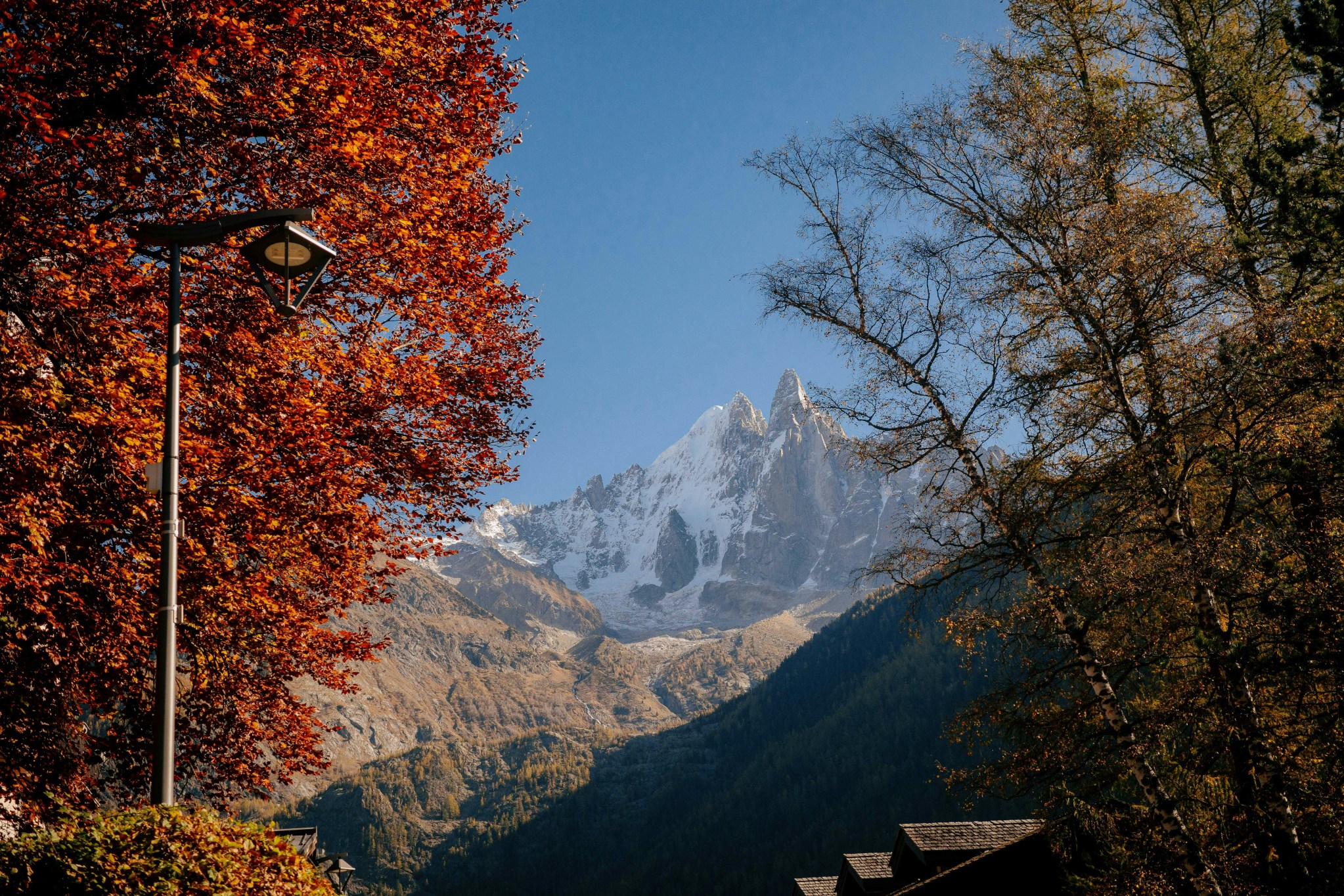 Best Time to Visit the Alps: A Season-by-Season Guide – Bonjour Alps